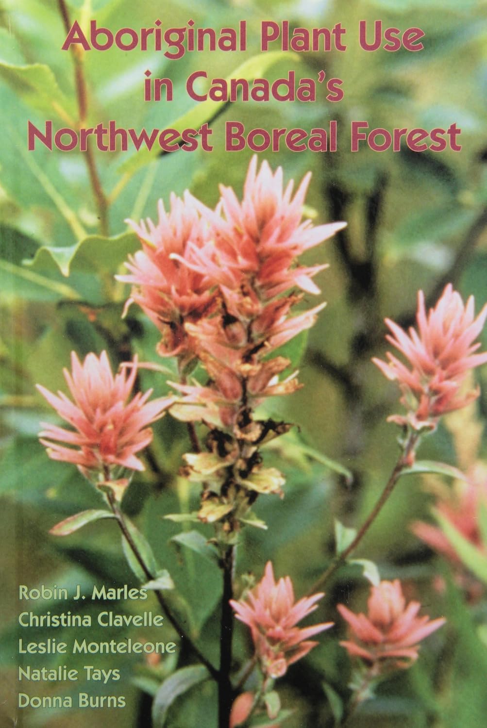 Aboriginal Plant Use in Canada’s Northwest Boreal Forest: New Edition ...