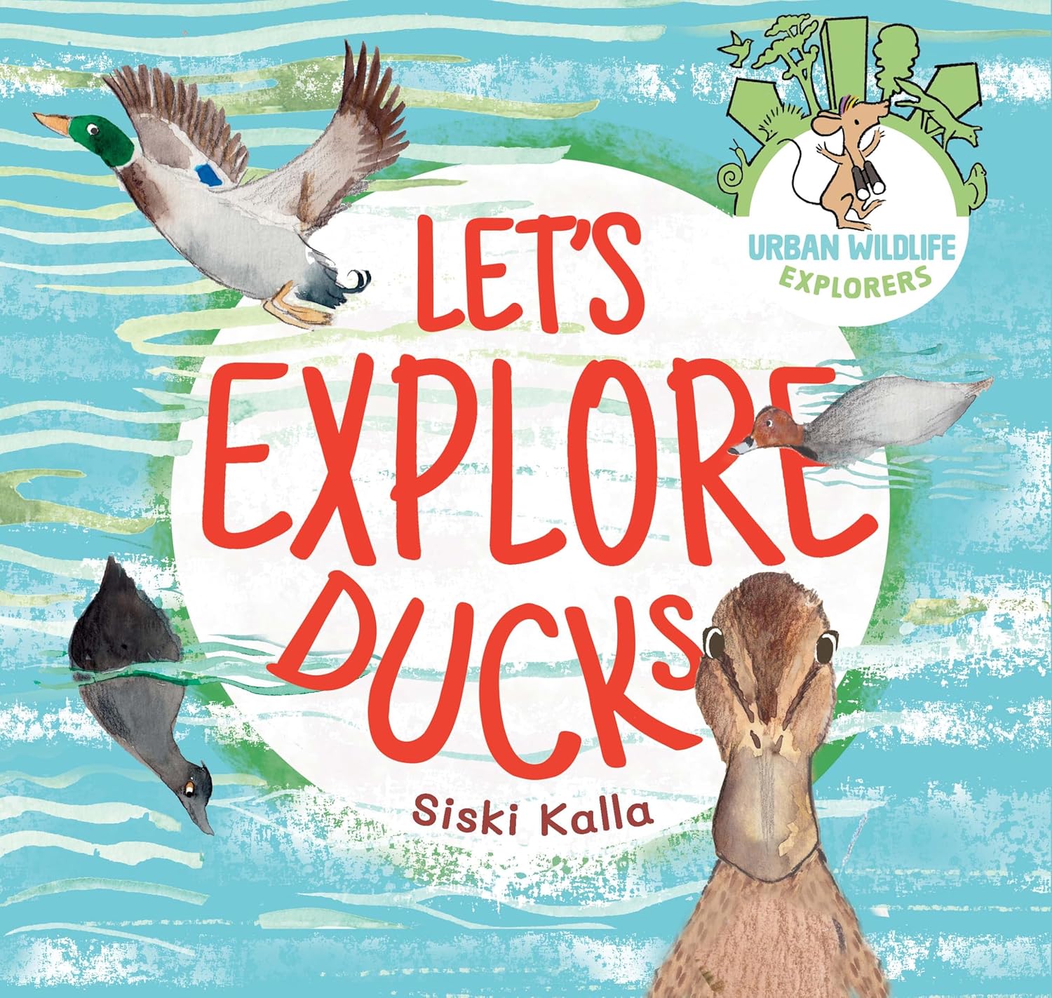 Amazon.com: Let's Explore Ducks: An urban wildlife explorers book eBook ...