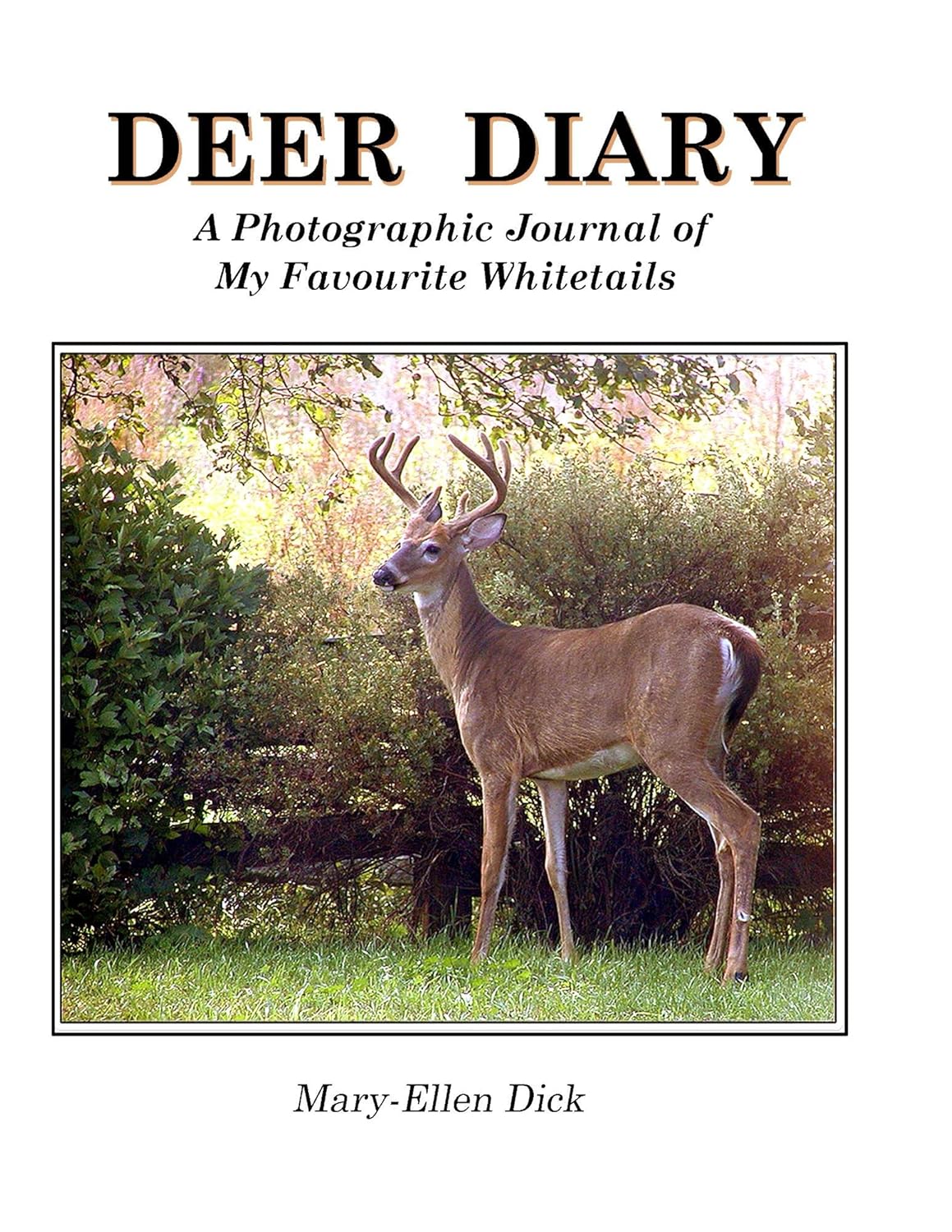 Deer Diary: A Photographic Journal of My Favourite Whitetails eBook ...