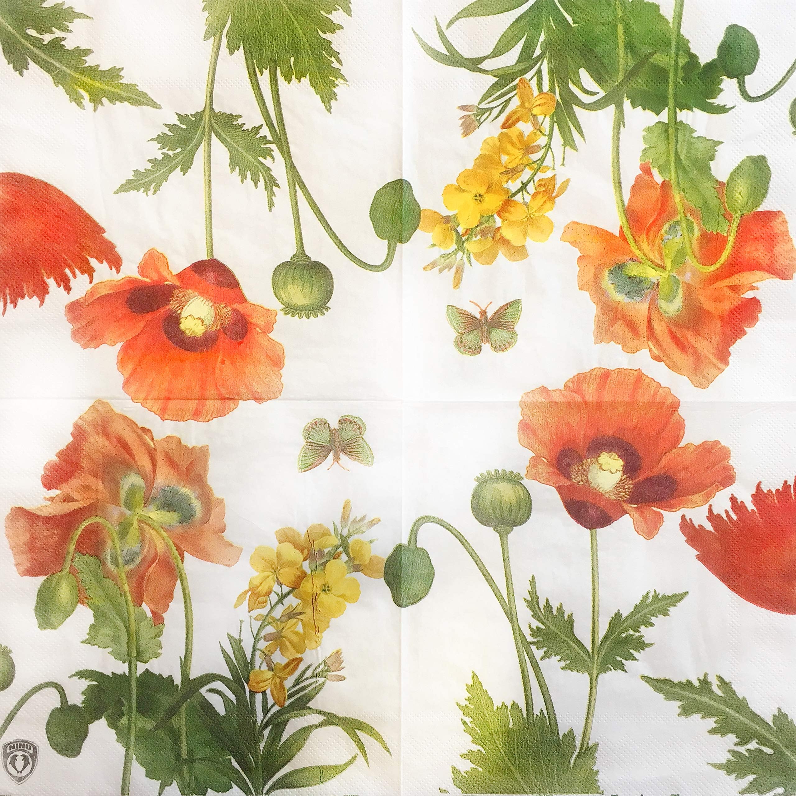 Amazon.com: Colored Paper Cocktail Napkins, 20 Count Shabby Chic ...