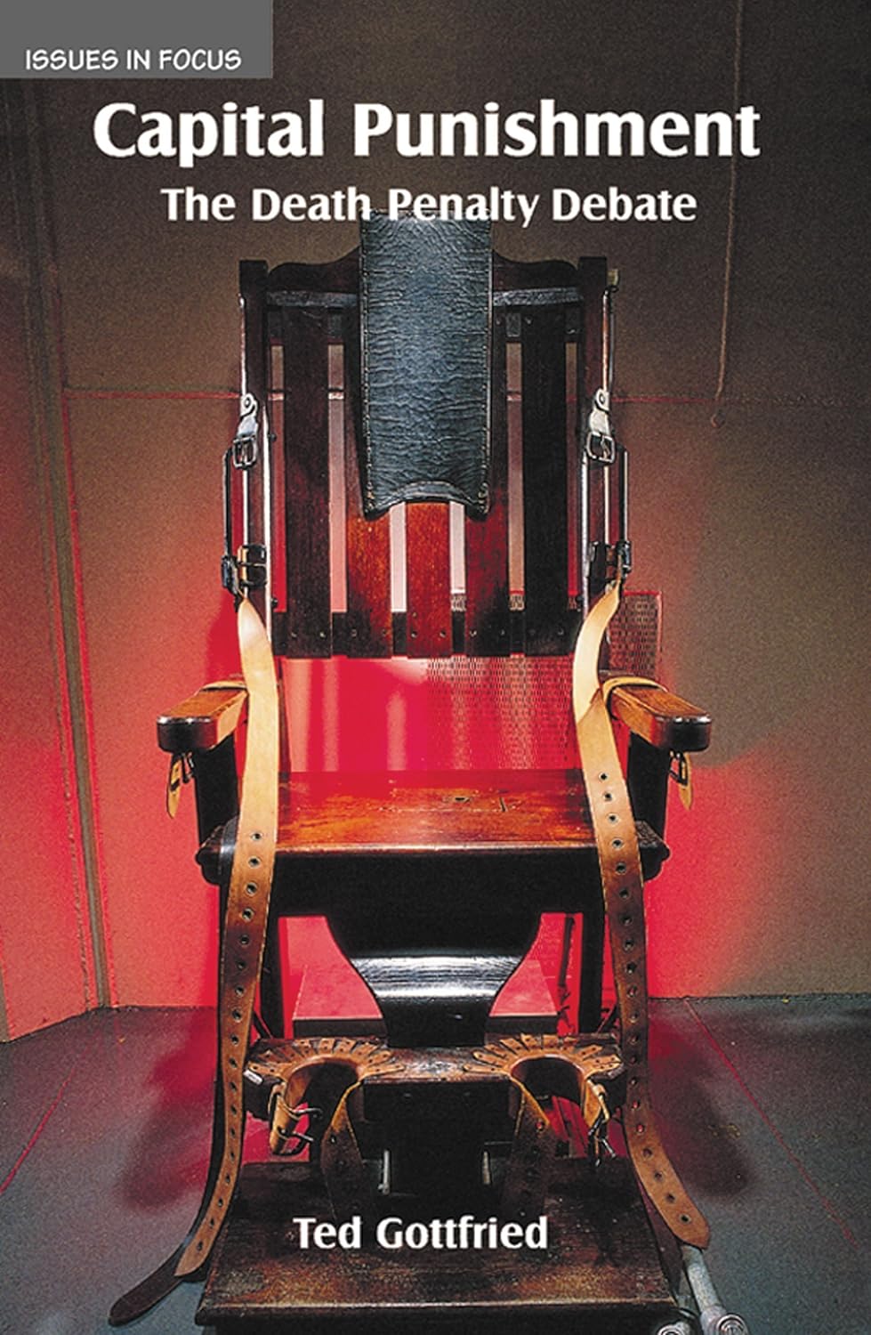 Capital Punishment: The Death Penalty Debate (Issues in Focus ...