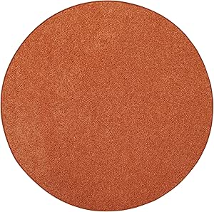 Amazon.com: Furnish my Place Modern Plush Solid Color Rug - Orange, 9 ...