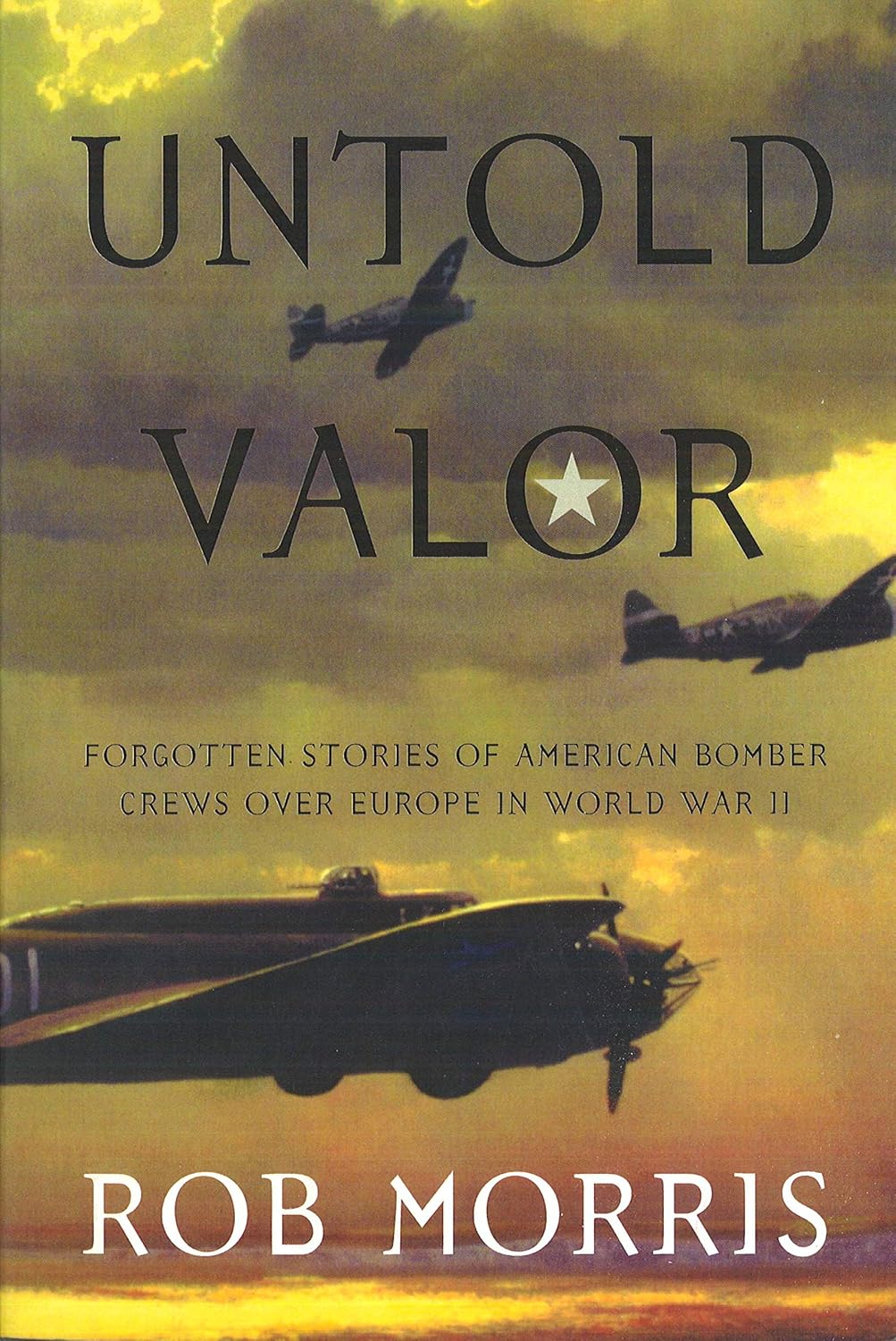 Untold Valor: Forgotten Stories of American Bomber Crews over Europe in ...