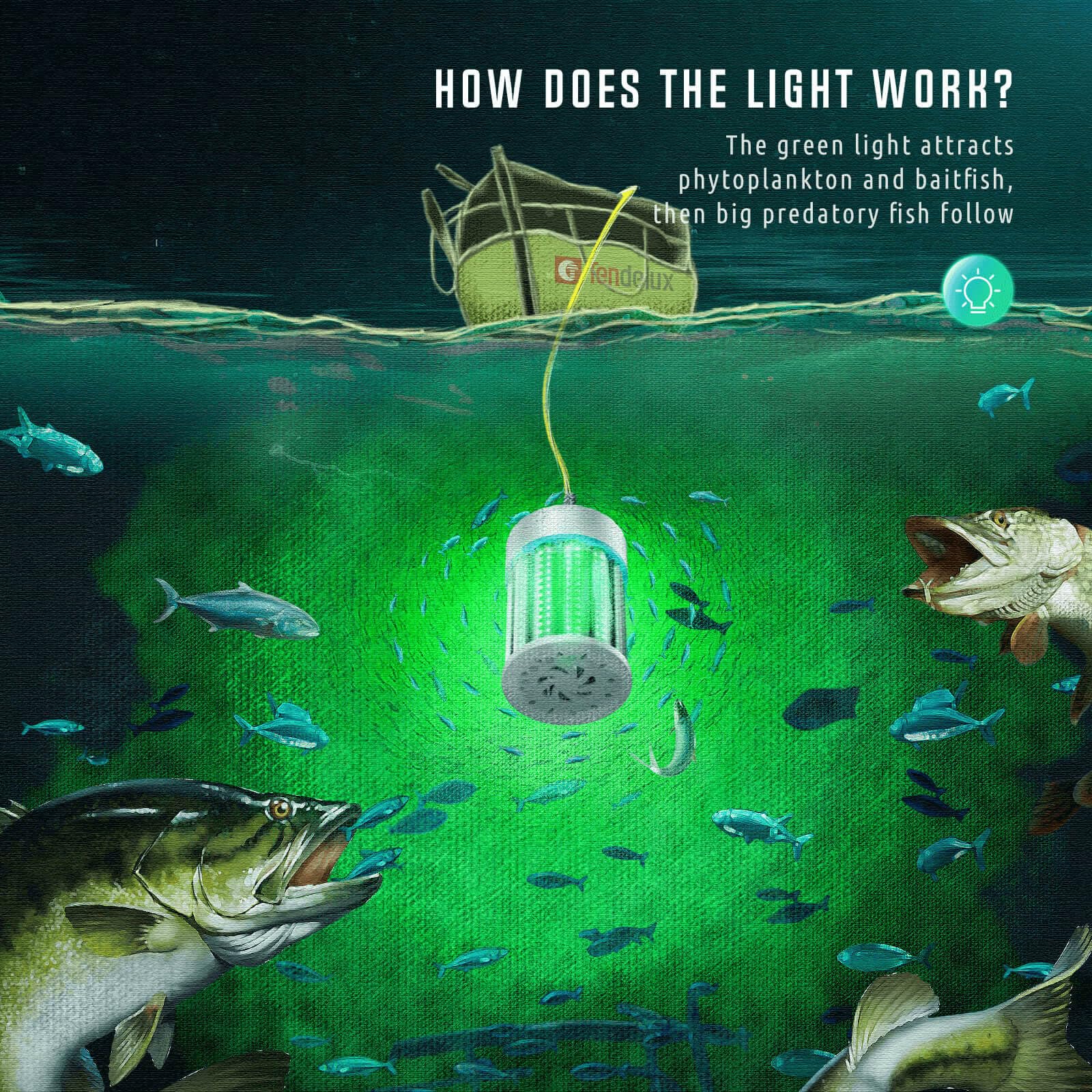 Underwater Green LED Fishing Light Tendelux Underwater Fishing Light ...