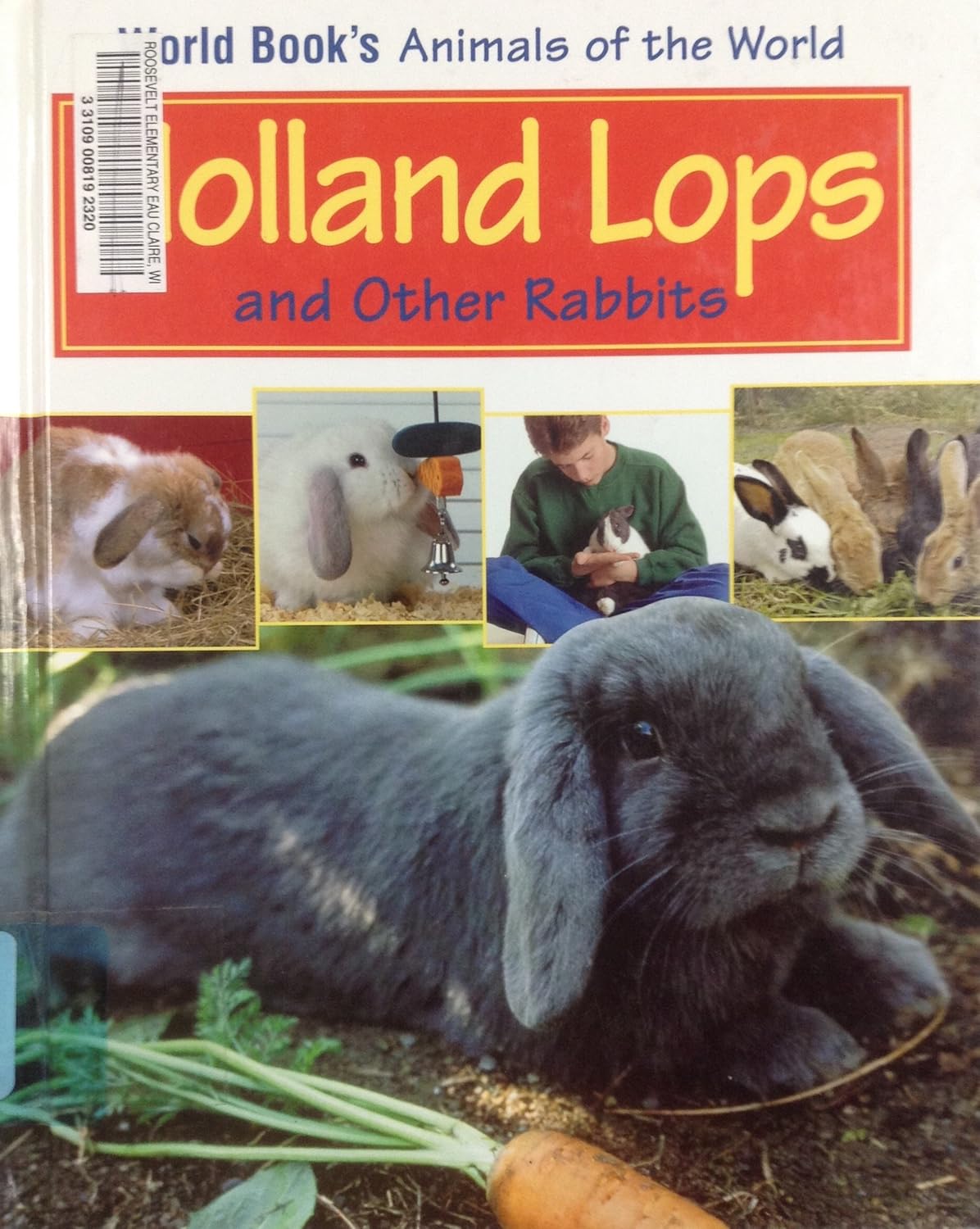 Holland Lops and Other Rabbits (World Book's Animals of the World ...