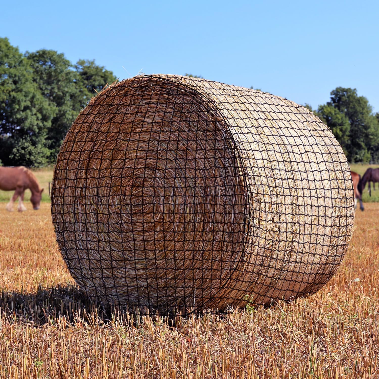 Amazon.com: Hay chix Large Bale Net - 5' "The Goldilocks", 1 3/4 ...