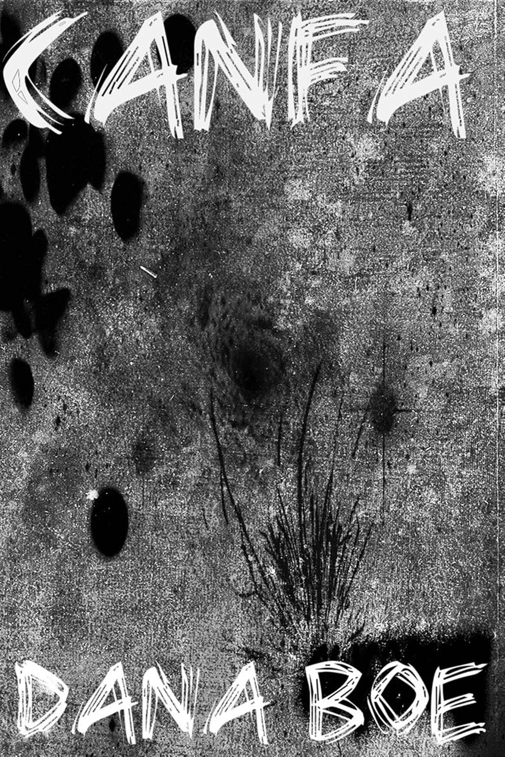 Amazon.com: Canfa eBook : Boe, Dana: Kindle Store