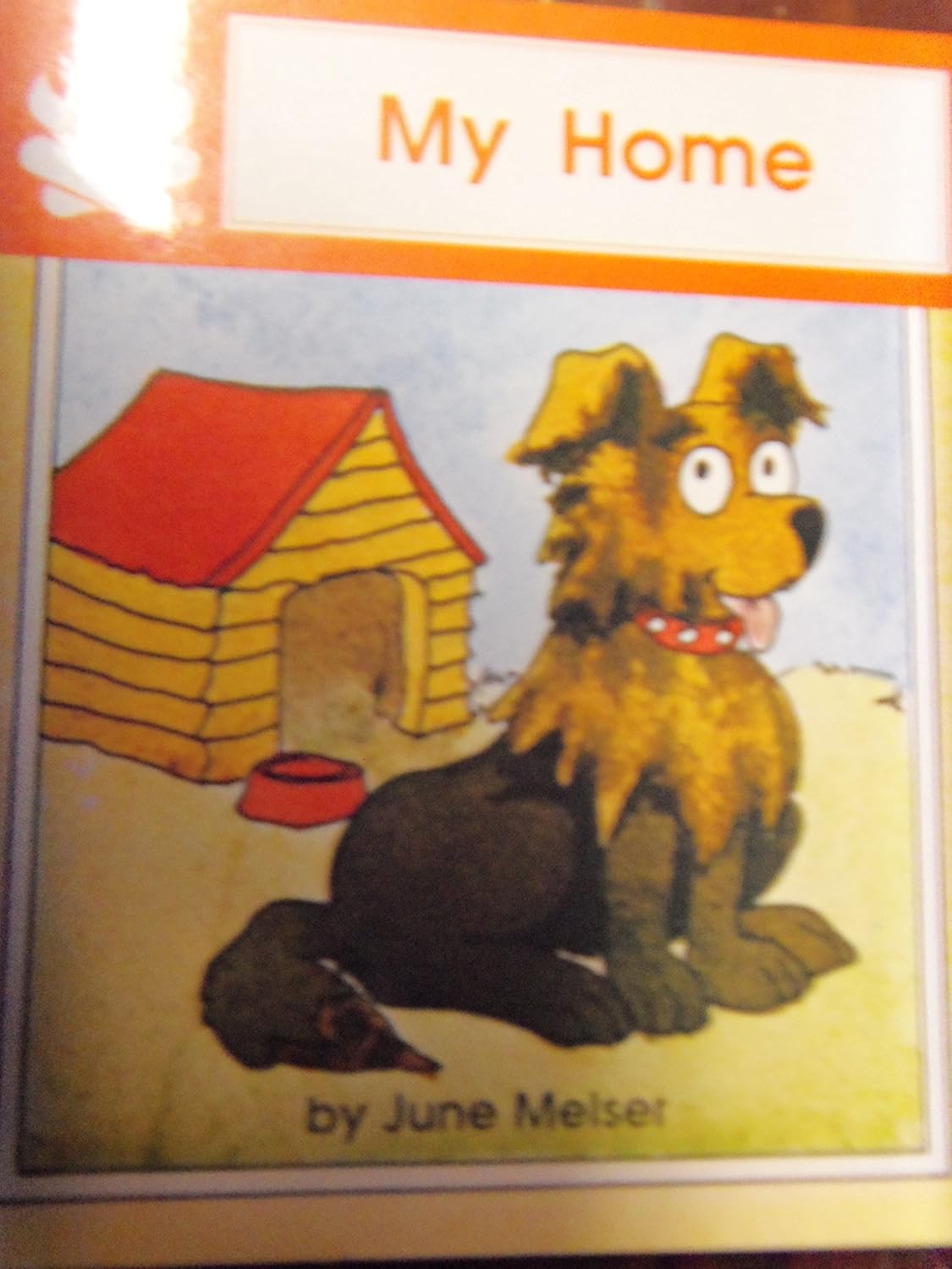 My Home The Story Box E: 9781559111690: Amazon.com: Books