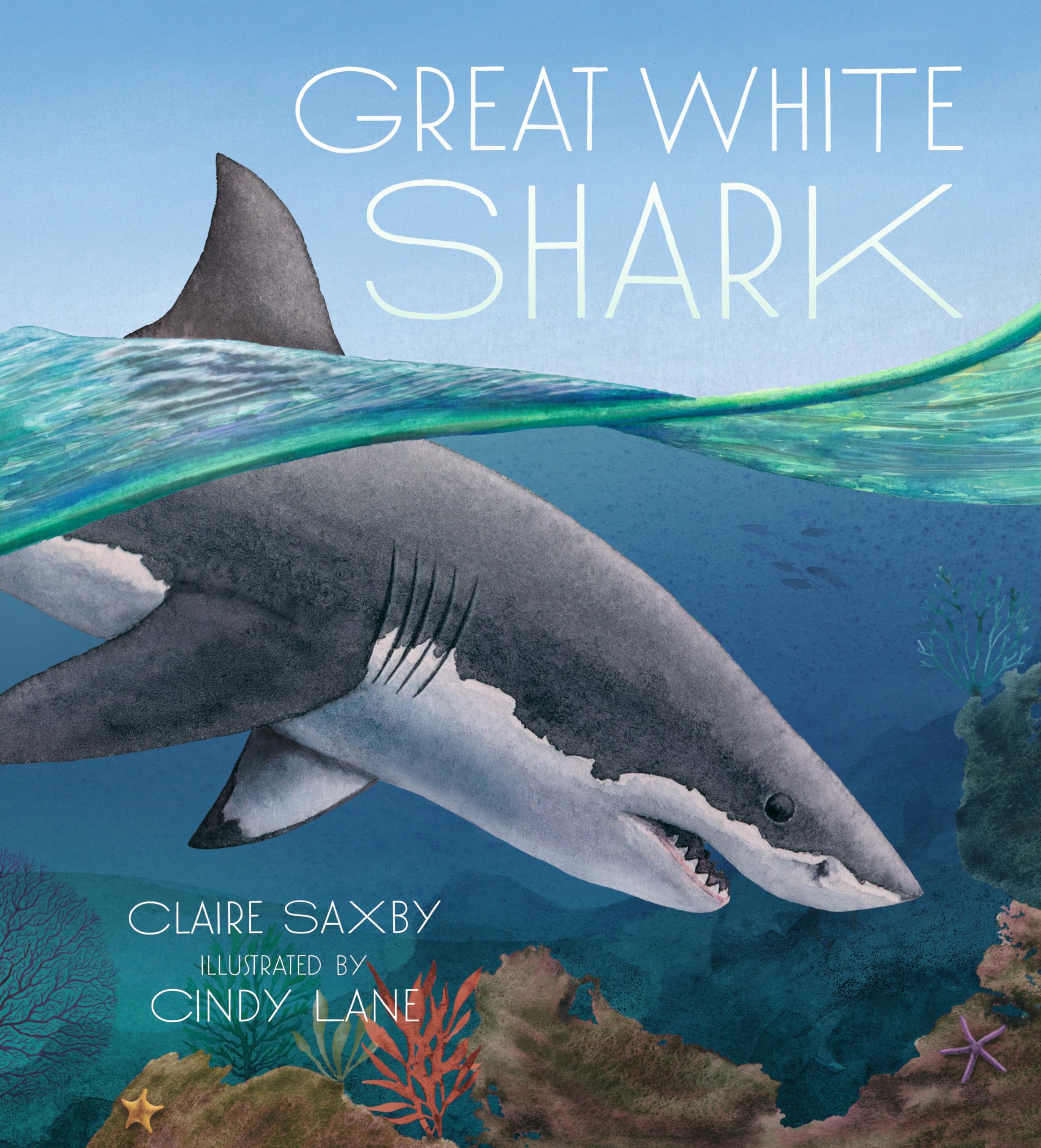 Great White Shark: Saxby, Claire, Lane, Cindy: 9781536225037: Amazon ...