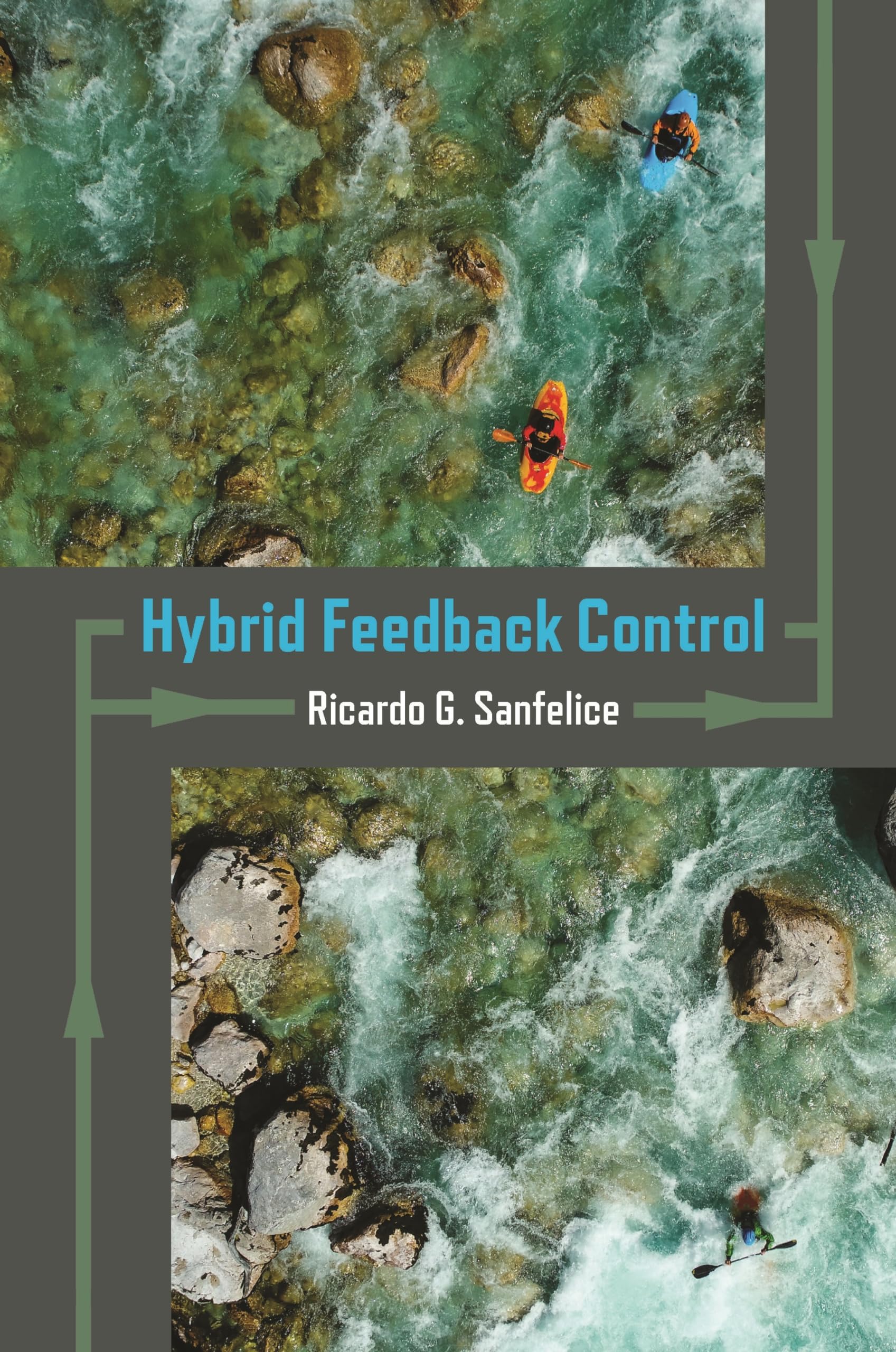 Hybrid Feedback Control (Princeton Applied Mathematics, 73): Amazon.co ...