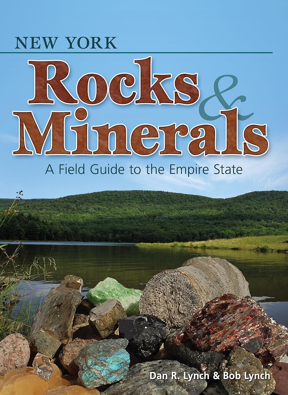New York Rocks & Minerals: A Field Guide to the Empire State (Rocks ...