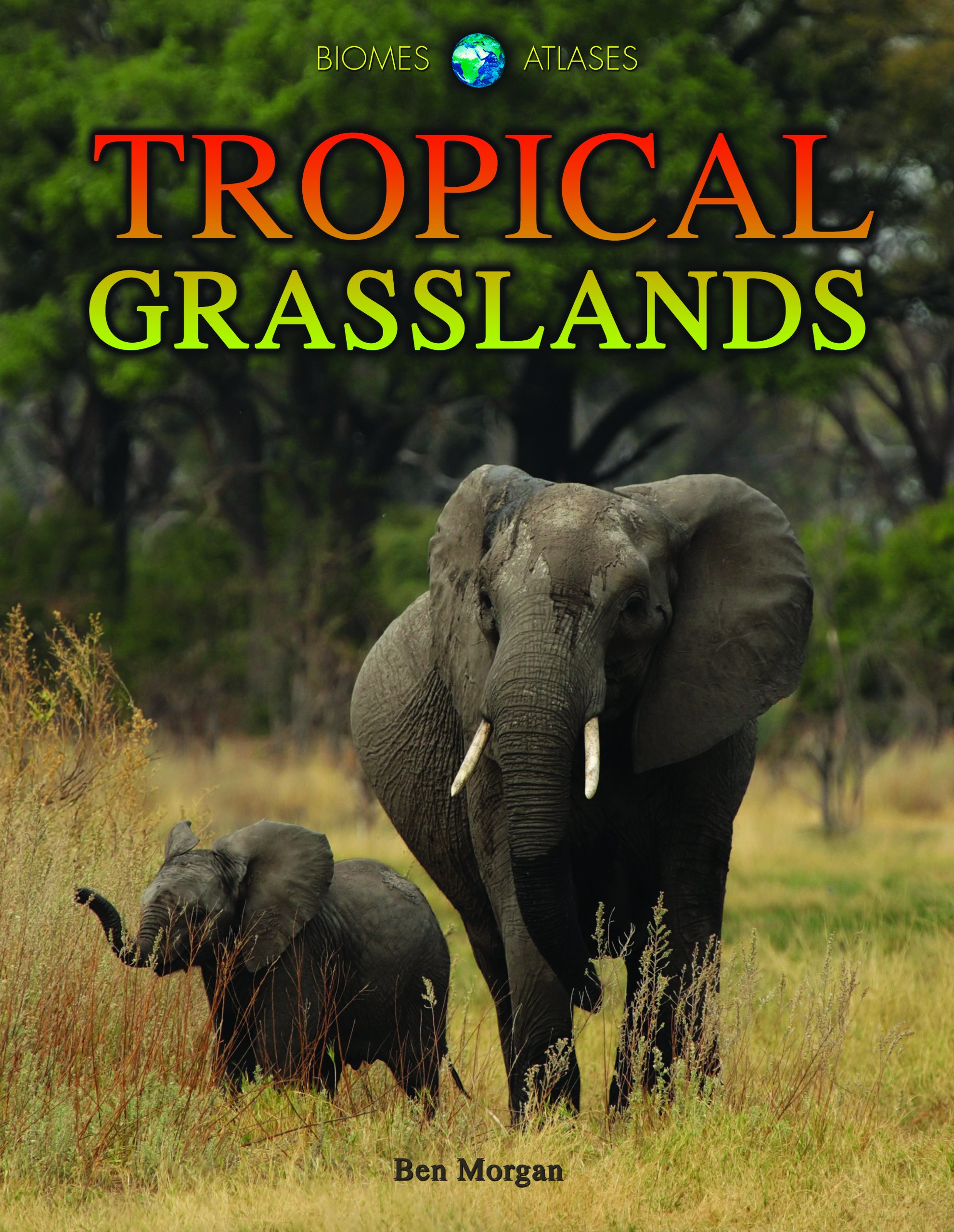 Tropical Grassland Biome Animals And Plants