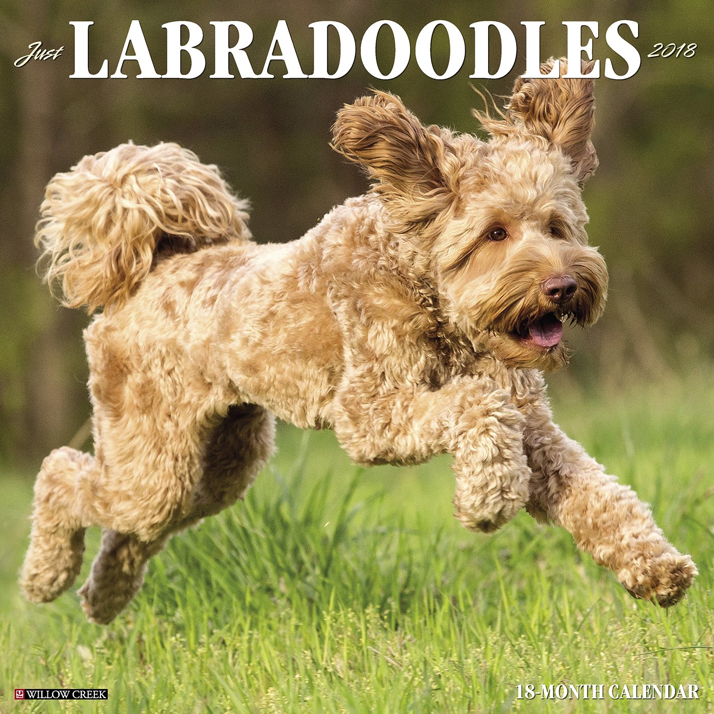 Just Labradoodles 2018 Calendar: Willow Creek Press: 9781682345399 ...
