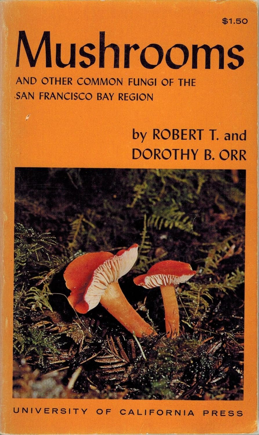 Real-Variable Methods in Harmonic Analysis: Torchinsky, Alberto: 9780126954616: Books - Amazon.ca