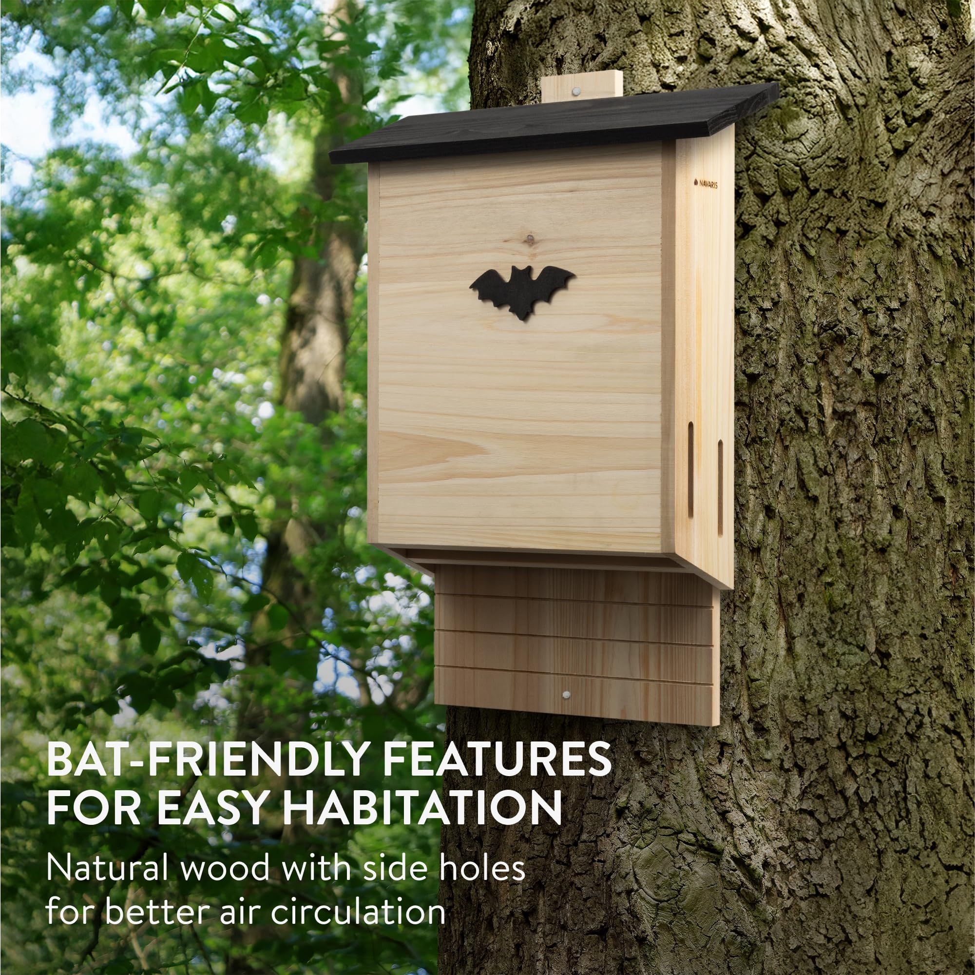 Winged Bat House Designs
