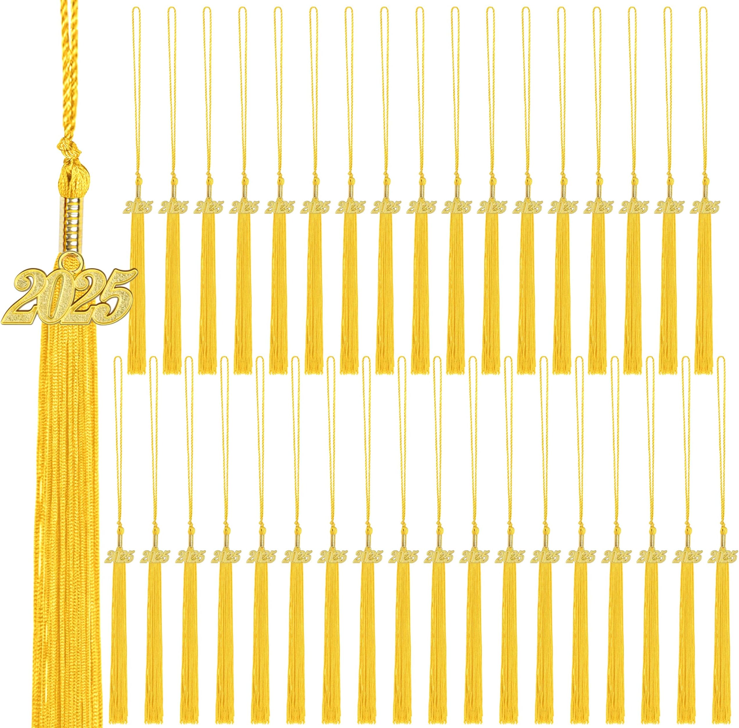Amazon.com: Zayvor 10 Pieces 2025 Grad Graduation Tassels Graduation ...