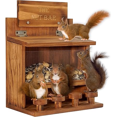 Amazon.com : MIXUMON Squirrel Feeder Table The Nut Bar, Wooden Squirrel ...