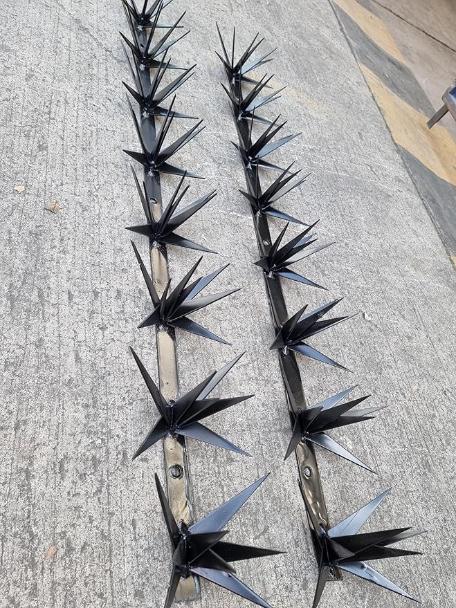 Genérico Agaves de protección, Pico de Seguridad para bardas ...
