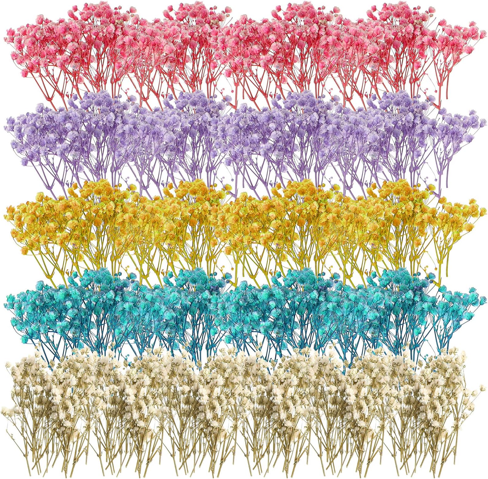 Amazon.com: Fumete 100 Pcs Mini Dried Baby Breath Flowers Gypsophila ...