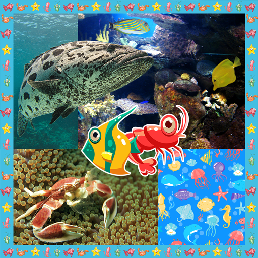 Sea Creatures Collage - App on Amazon Appstore