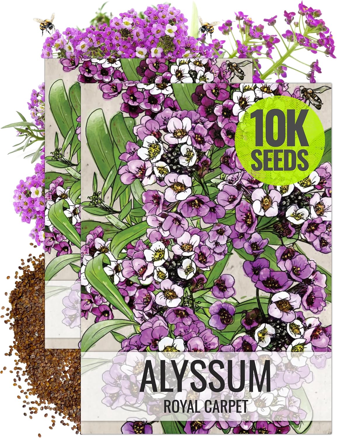 Amazon.com : Seed Needs Royal Carpet Alyssum Seeds for Planting ...