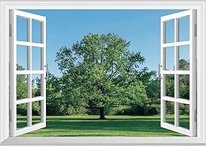Amazon.com: FLFK Fake Window Wall Decal - Grass and Trees Faux Window ...