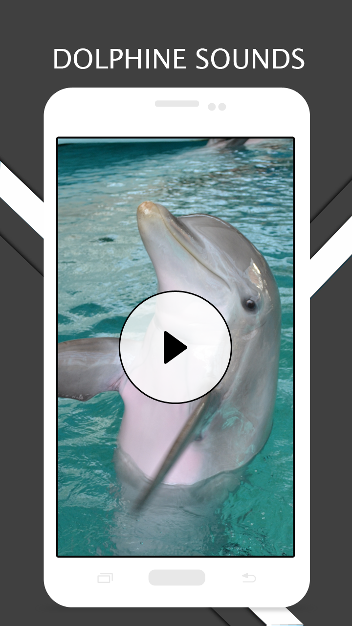Dolphin Sounds And Ringtones - App on Amazon Appstore