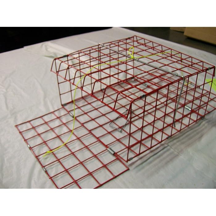 Buy E-Z Catch Premium Quality Red Fold-A-Way Two Door Blue Claw Crab ...
