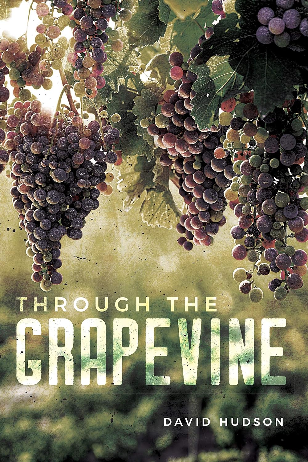 Through the Grapevine - Kindle edition by Hudson, David. Literature ...