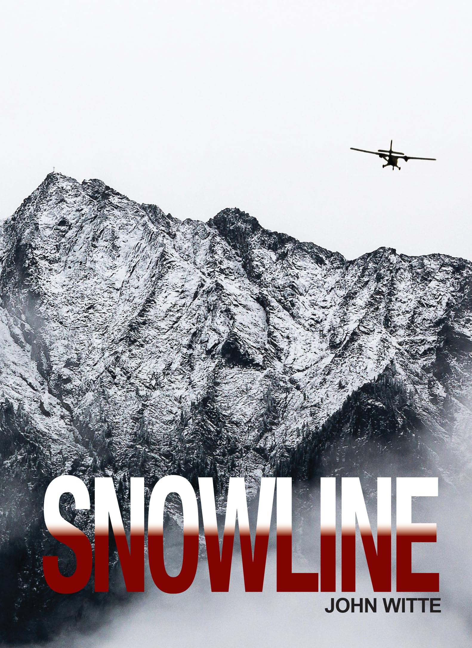 Snowline: John Witte: 9781578338337: Amazon.com: Books