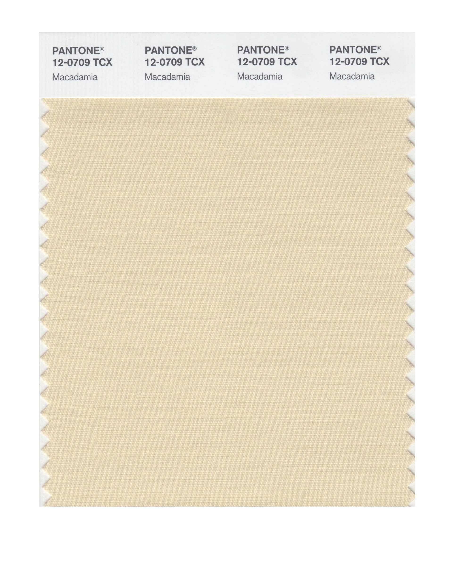 Amazon.com: Pantone 12-0709 TCX Smart Color Swatch Card, Macadamia ...