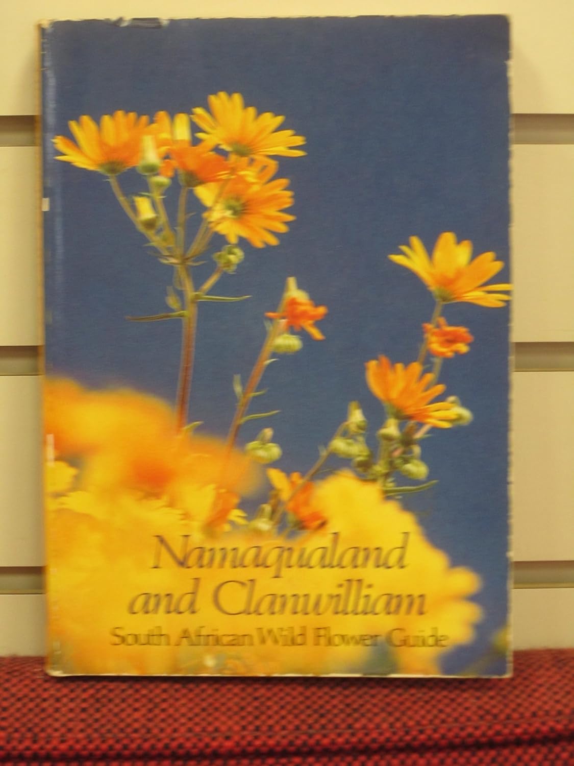 South African wild flower guide: Johan Adam Heyns: 9780798401128 ...
