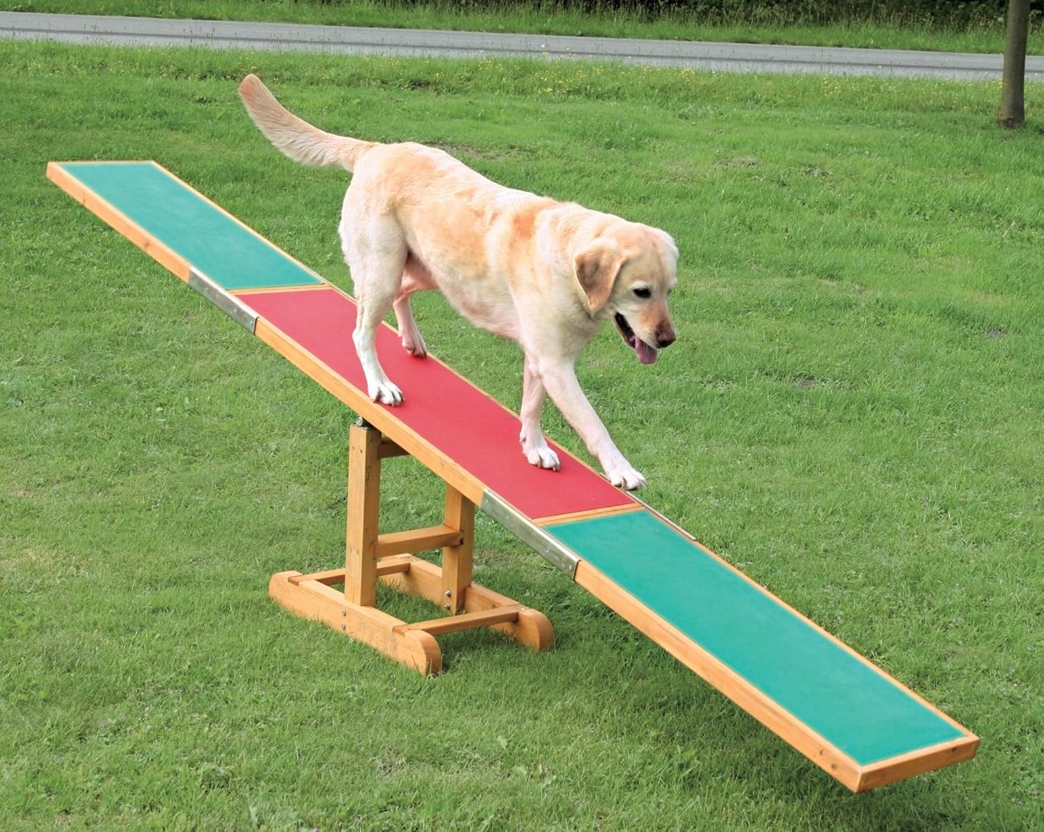 Amazon Agility Seesaw Non Slip Surface TRIXIE Pet Supplies