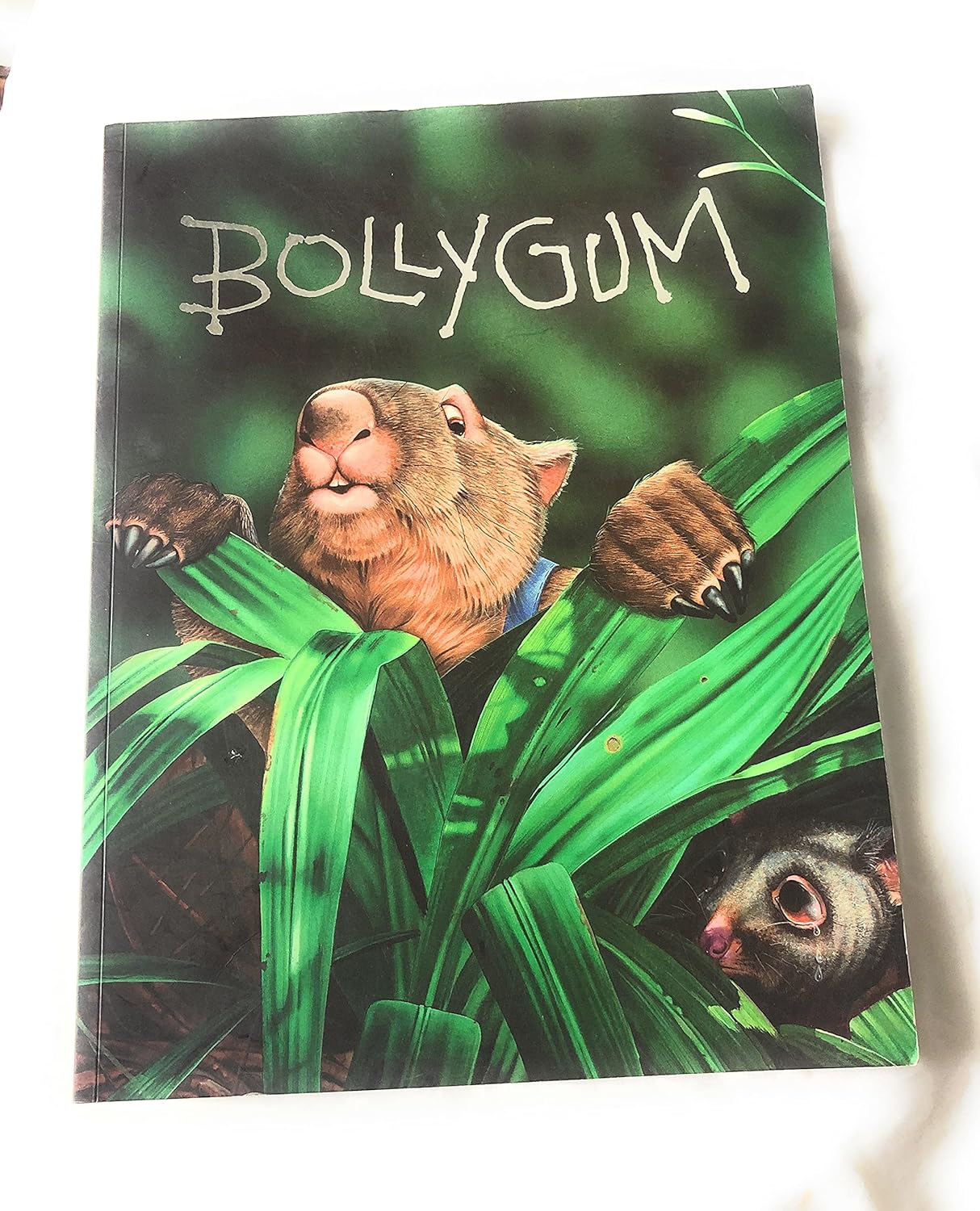 Bollygum: Garry Fleming: 9781875875085: Amazon.com: Books