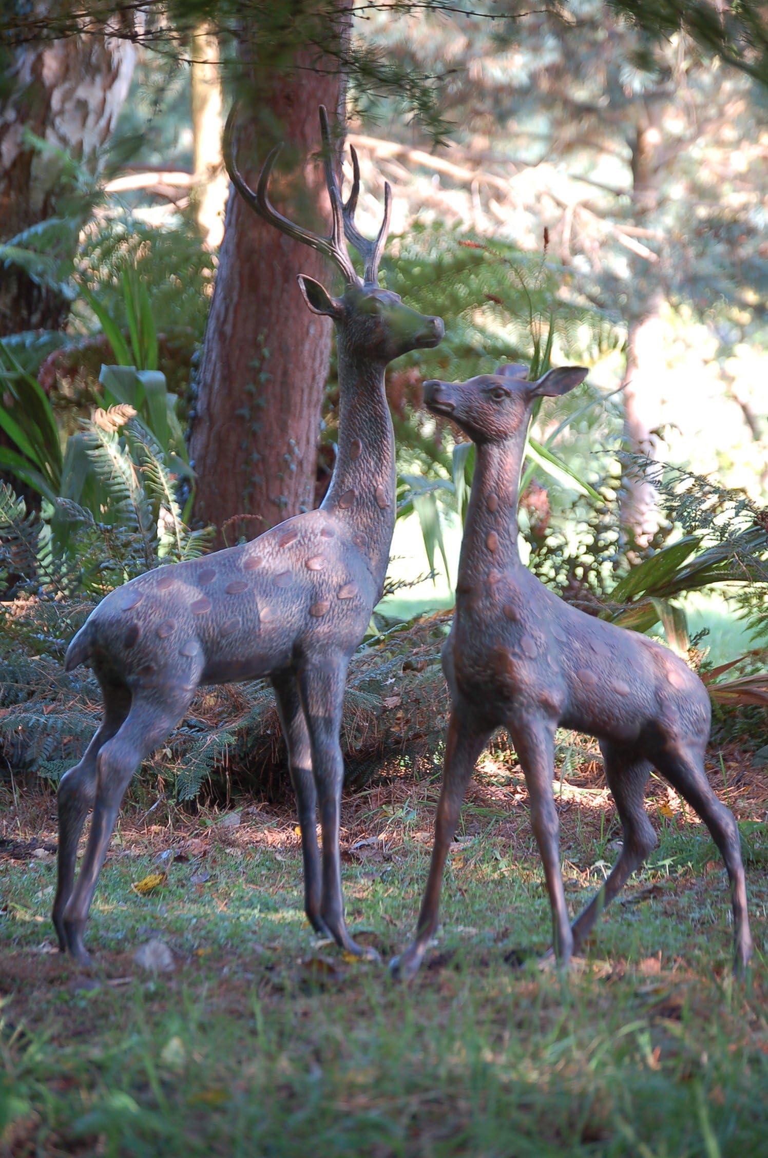 Grand Stag & Doe Bronze Metal Garden Statues : Amazon.co.uk: Garden