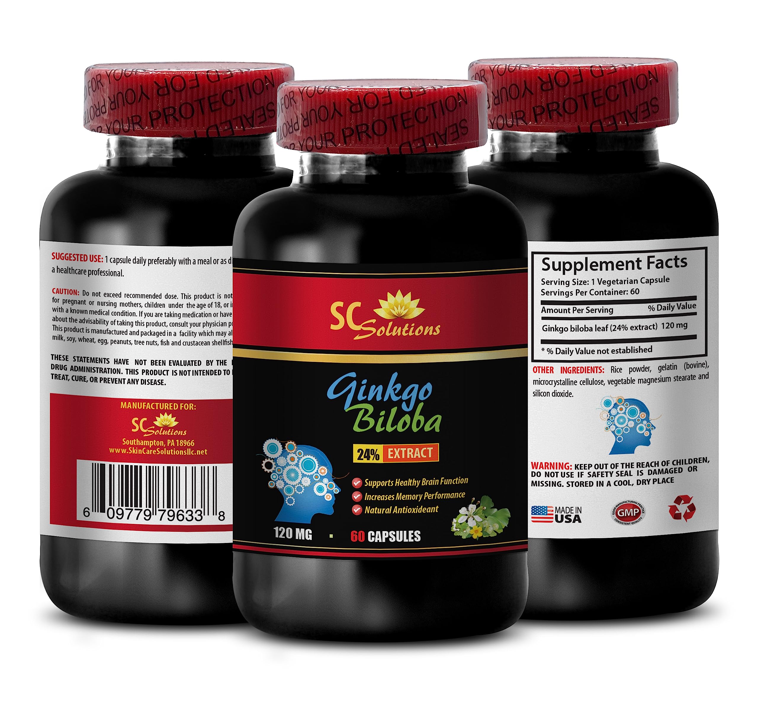 Amazon.com: brain and memory booster - GINKGO BILOBA 24% EXTRACT 120MG ...