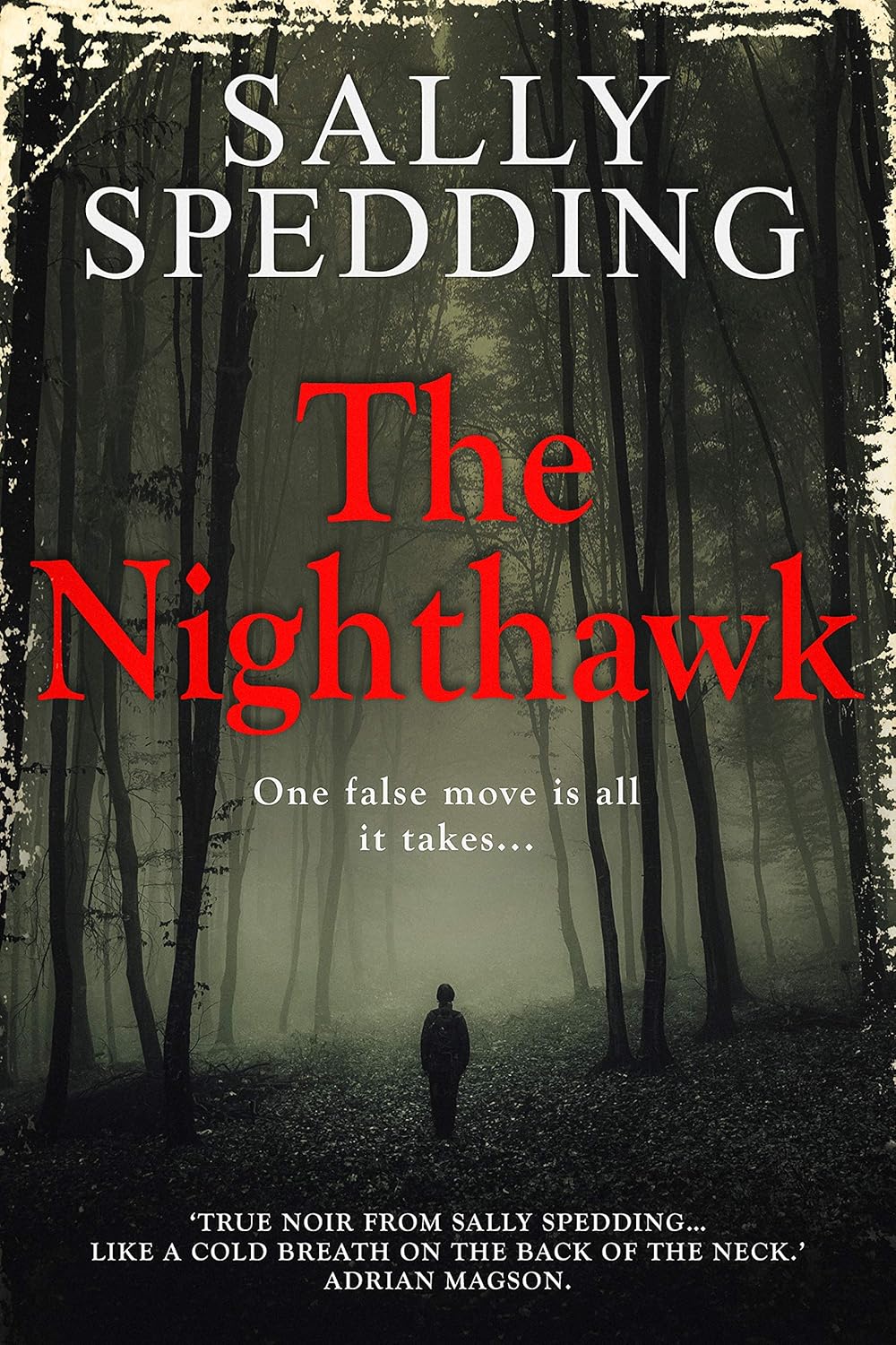 Amazon.com: The Nighthawk (DI John Lyon Thriller Book 1) eBook ...