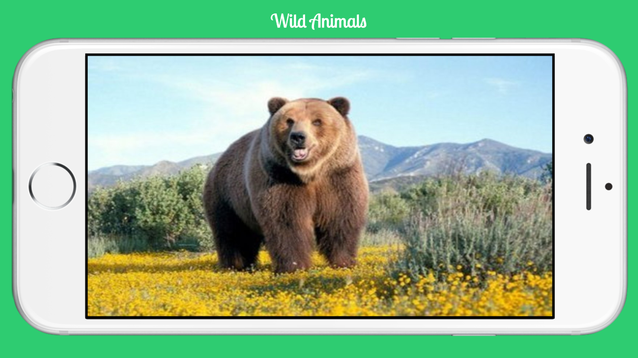 Wild Animals - App on the Amazon Appstore