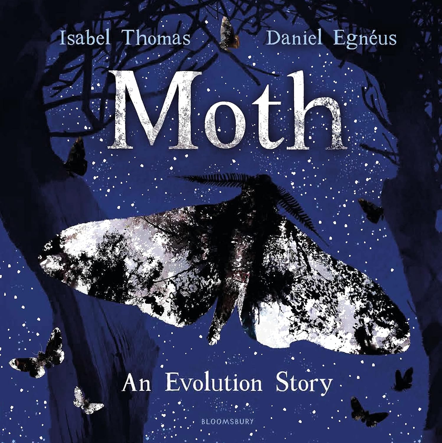 Moth: Isabel Thomas: 9781408889756: Amazon.com: Books