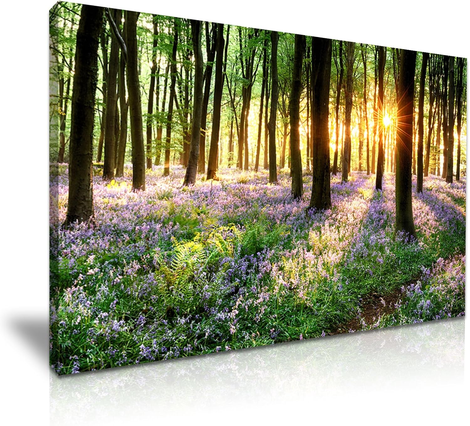 Bluebells Woods Forest Green Tree Spring Sunlight Canvas Wall Art ...