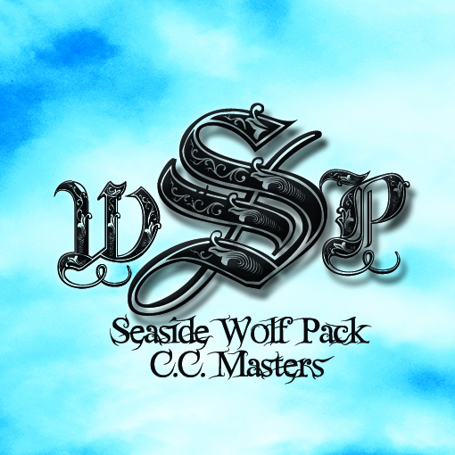 Amazon.com: Finding the Power Within: Seaside Wolf Pack Book 3 eBook : Masters, C.C.: Kindle Store