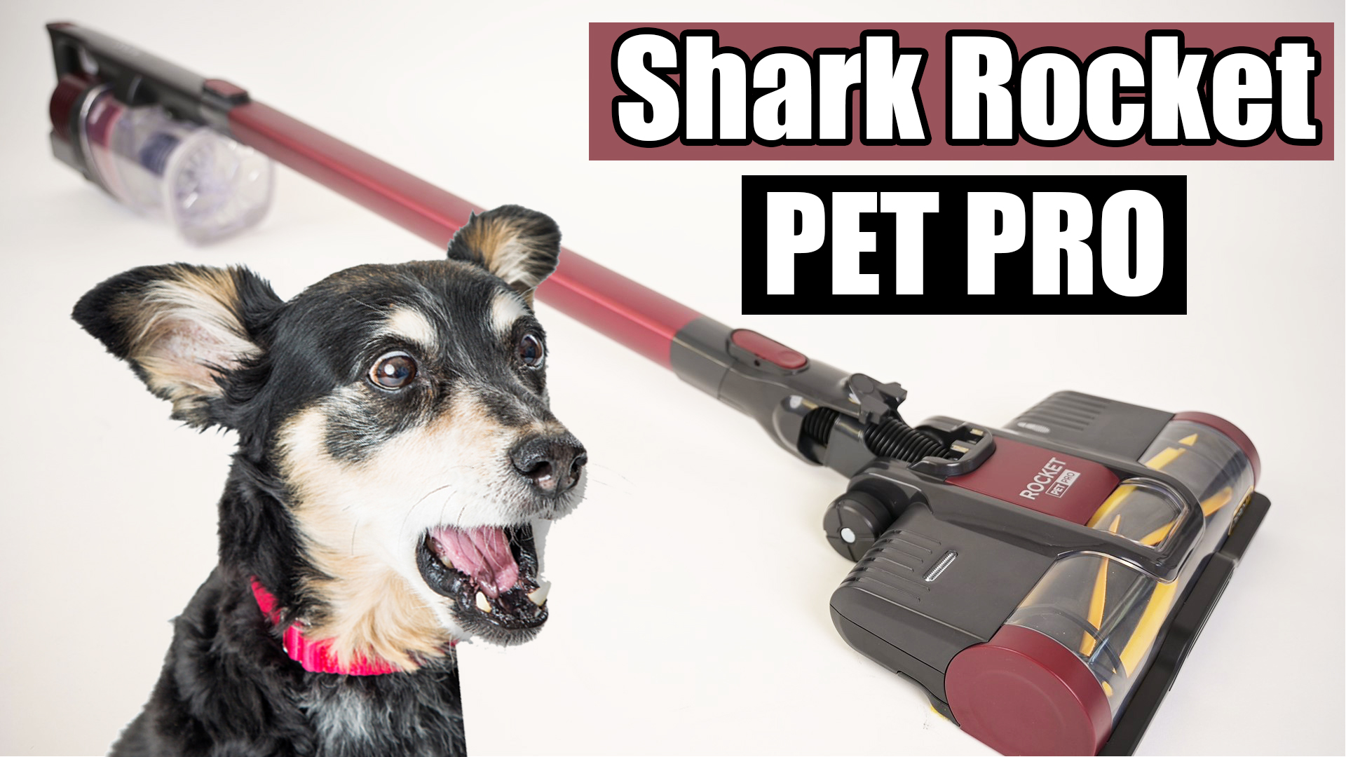 Watch Shark Rocket PET PRO Cordless Stick Vacuum - The ULTIMATE Pet ...