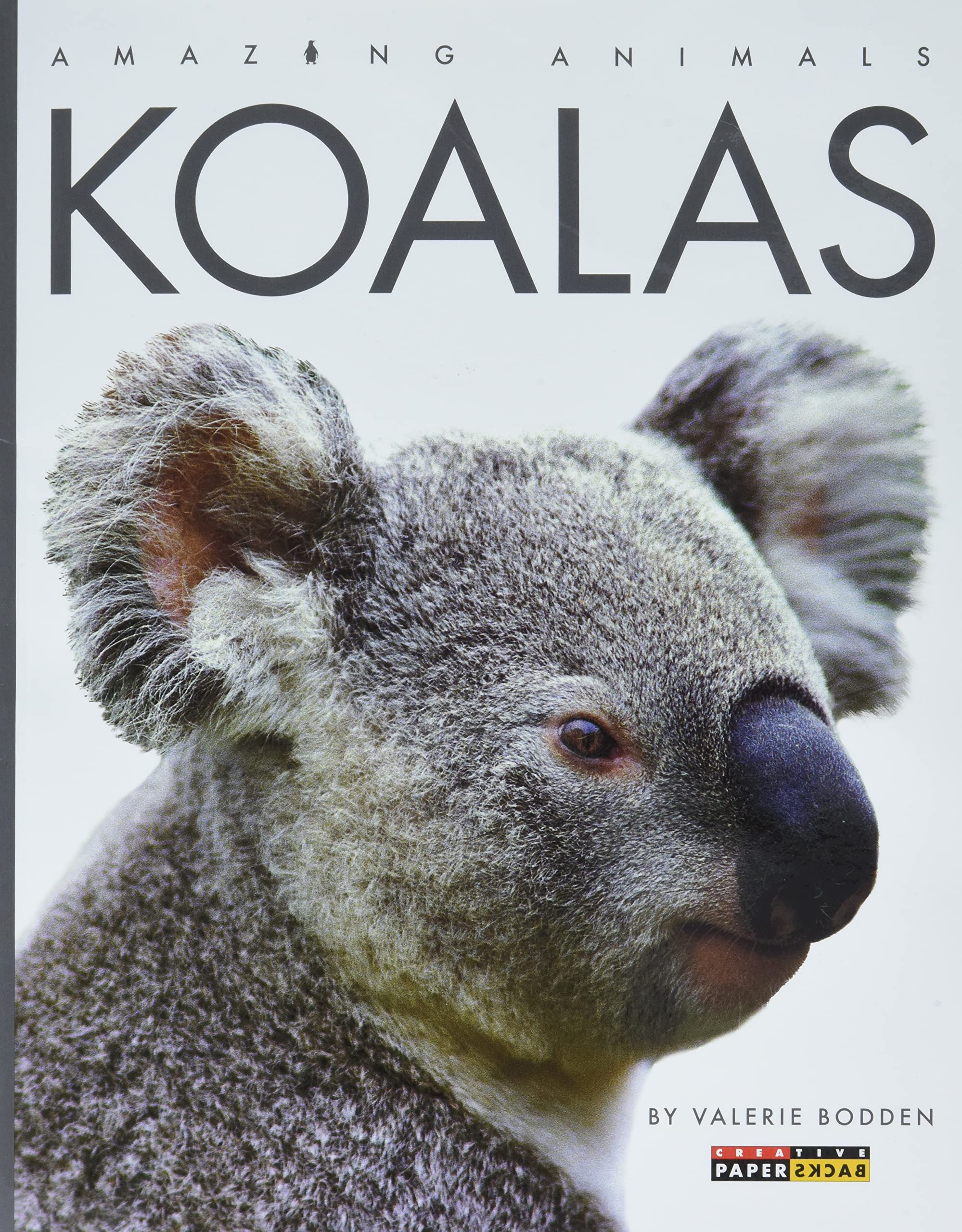 Koalas (Amazing Animals): Bodden, Valerie: 9781682770665: Amazon.com: Books