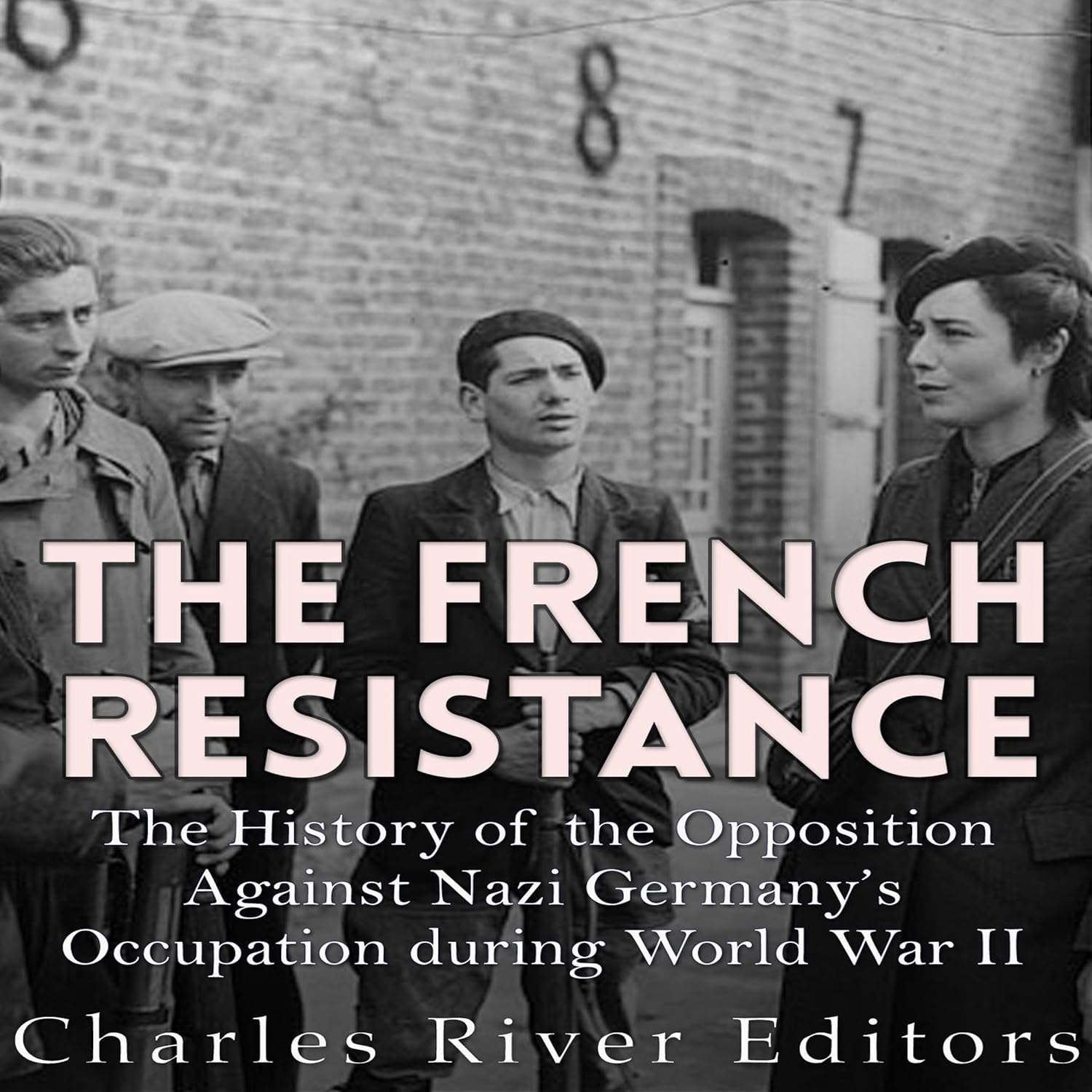 Amazon.com: The French Resistance: The History of the Opposition ...
