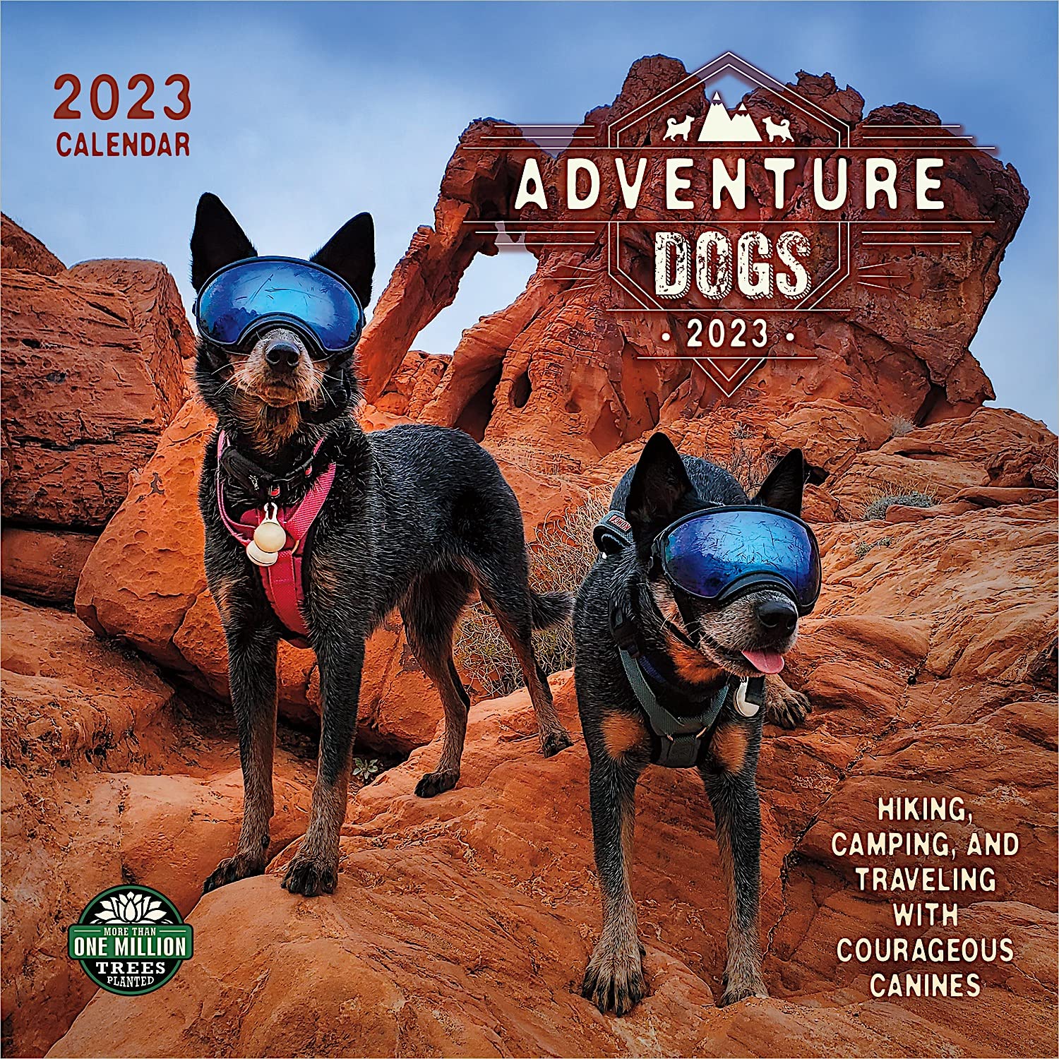 Amazon.com: Adventure Dogs 2023 Wall Calendar: Hiking, Camping, and ...