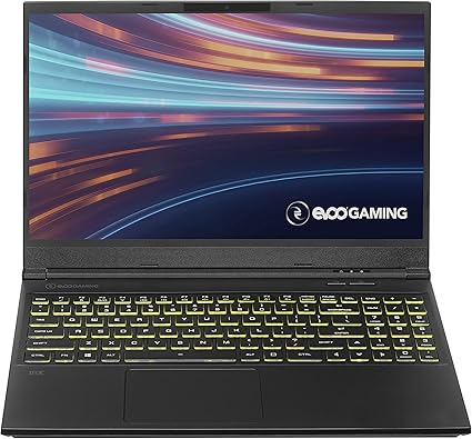 Amazon.com: Evoo Gaming 15.6” Laptop, FHD, 60Hz, Intel Core i5-10300H ...