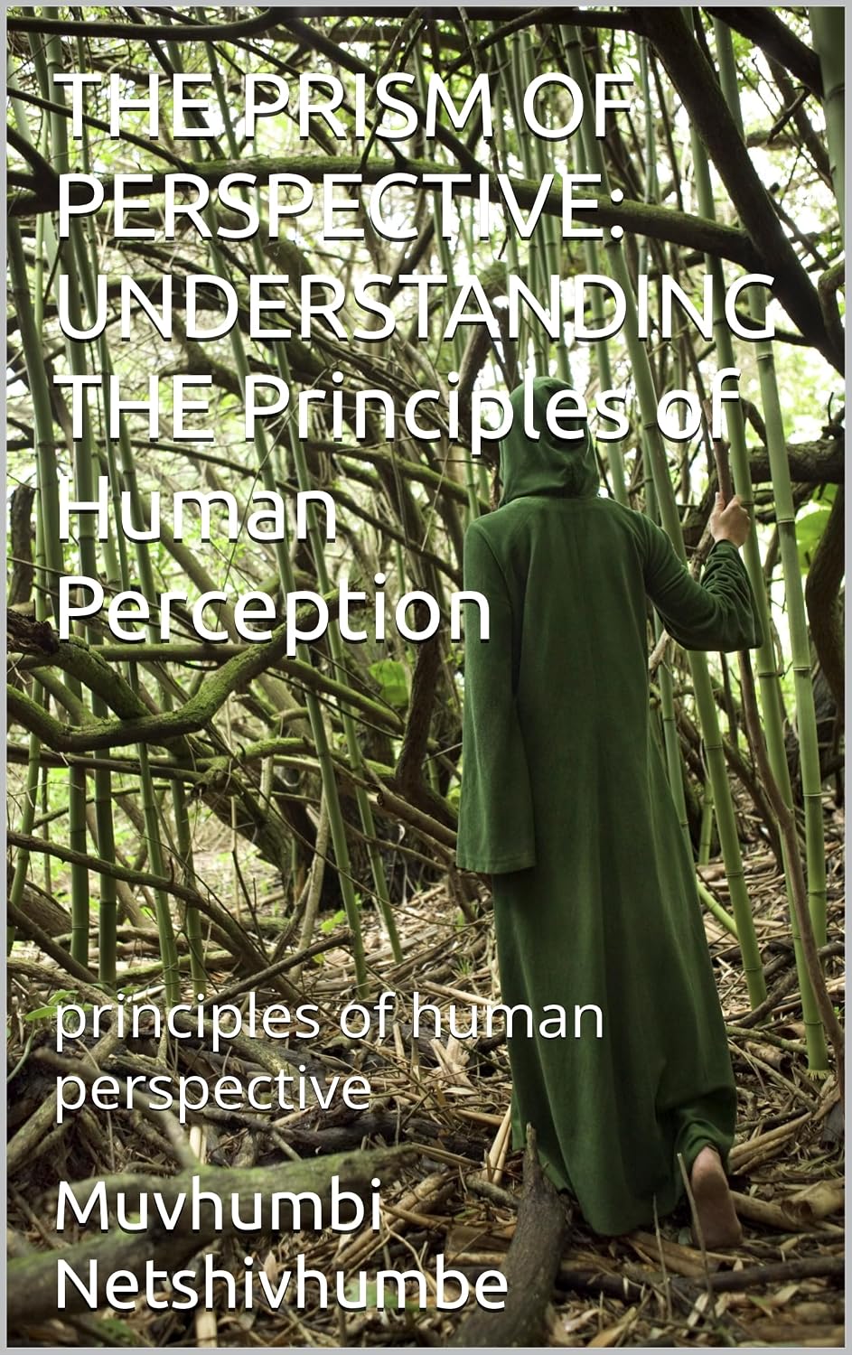 Amazon.com: THE PRISM OF PERSPECTIVE: UNDERSTANDING THE Principles of ...