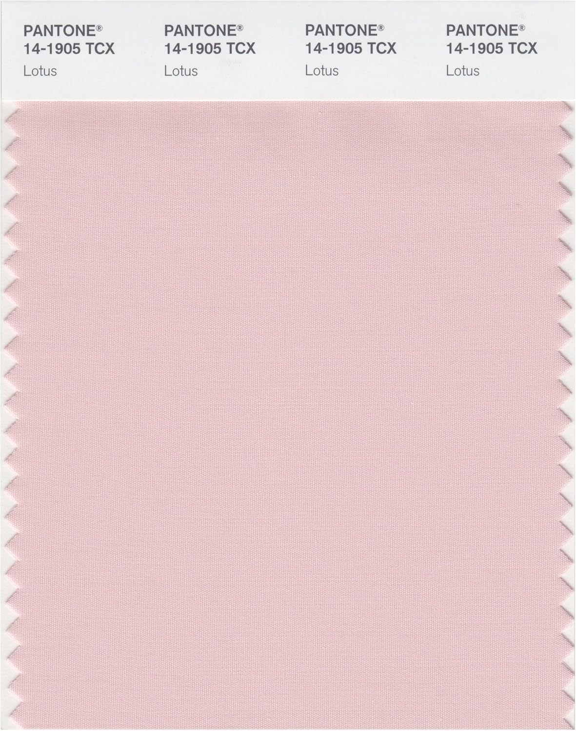 PANTONE SMART 14-1905X Color Swatch Card, Lotus, House Paint - Amazon ...