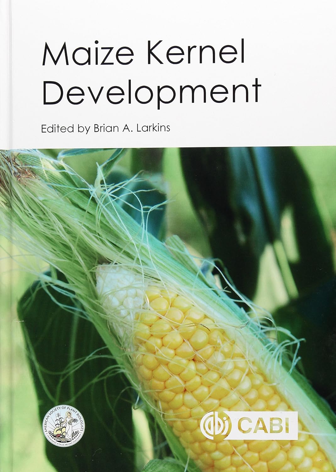 Maize Kernel Development: Larkins, Dr Brian A: 9781786391216: Amazon ...