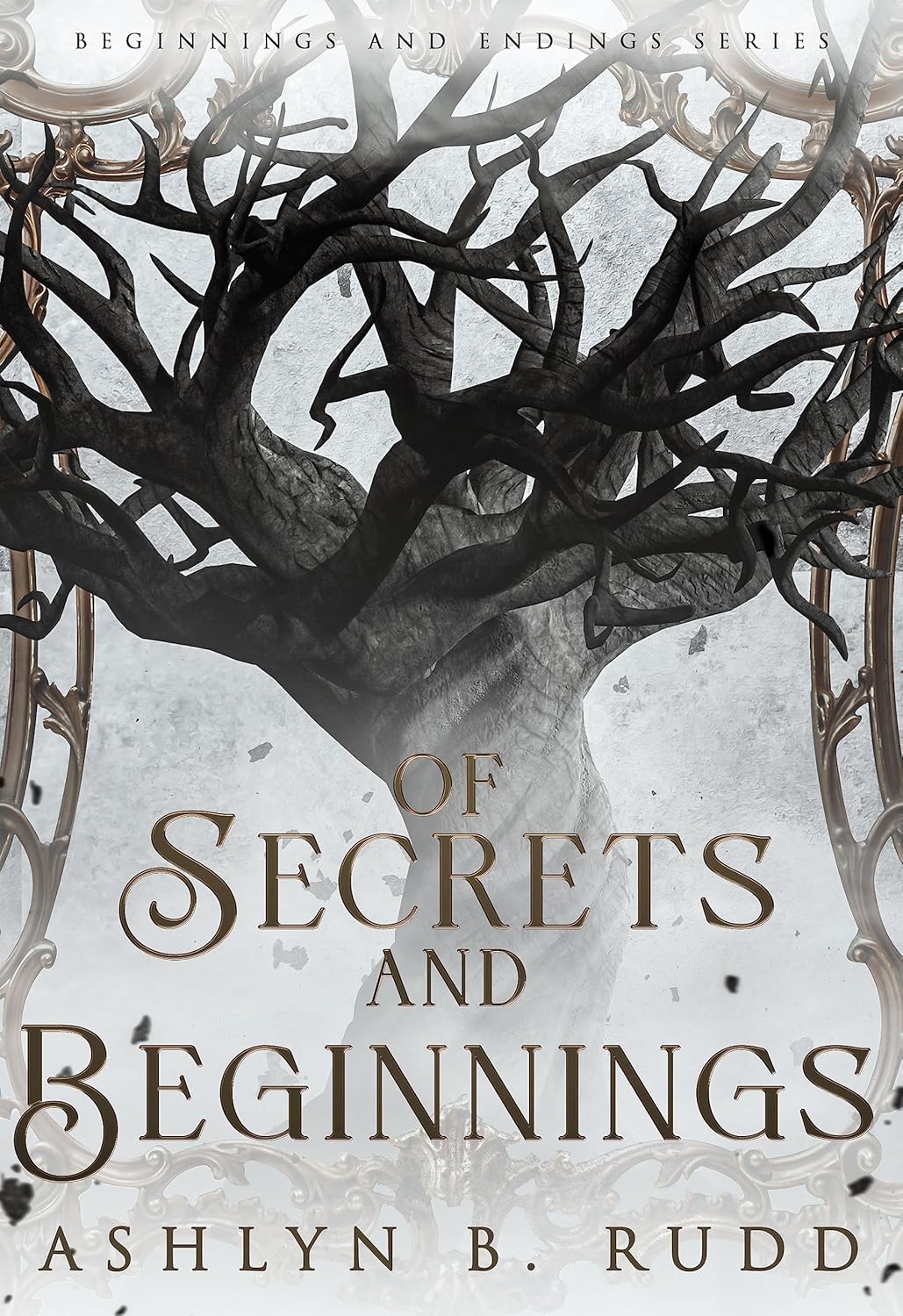 Amazon.com: Of Secrets and Beginnings (Beginnings and Endings Series ...